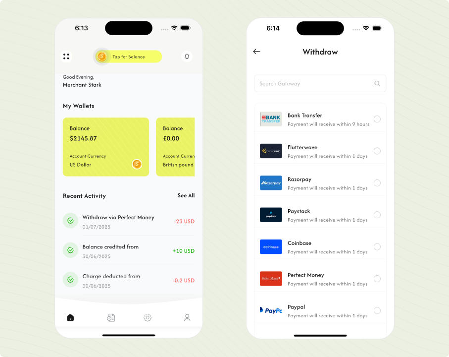 Pay Secure - Digital Wallet Application For Merchant (Android, iOS) by bug-finder