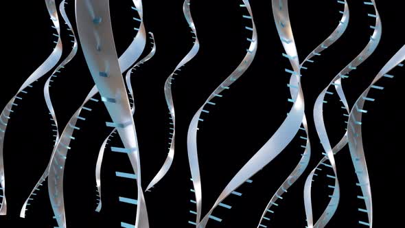 Dna, rna animation, Motion Graphics | VideoHive