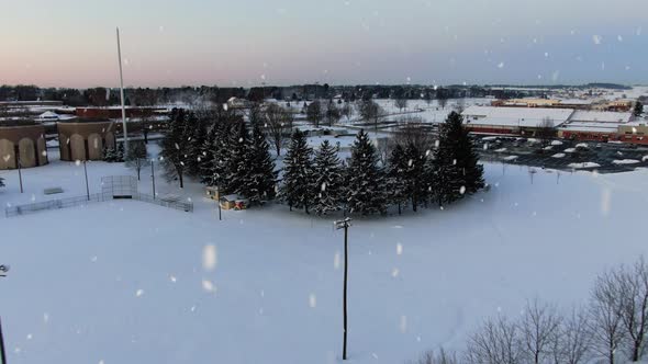 AERIAL Scene of Cypress Trees Covered In Snowfall On Winters Day, Stock ...