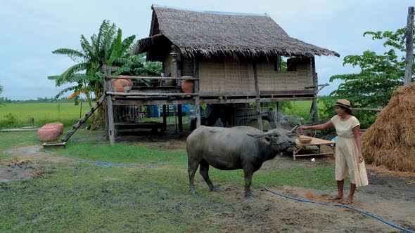 Home Stay Farm Between Green Paddy Field in Thailand Beautiful Farm ...