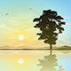 Lone Tree, Vectors | GraphicRiver