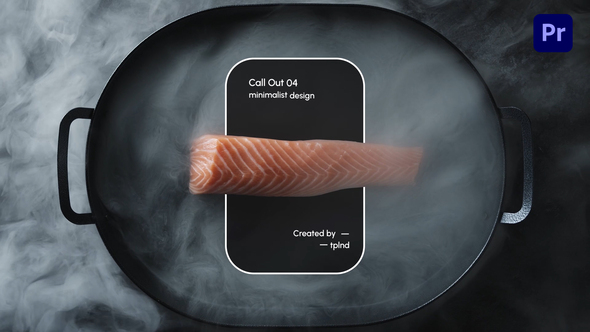 Modern Call Outs, Premiere Pro Templates | VideoHive