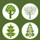 Vector Trees, Vectors | GraphicRiver