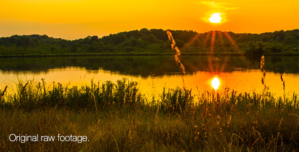 Summer Sunset, Stock Footage | VideoHive