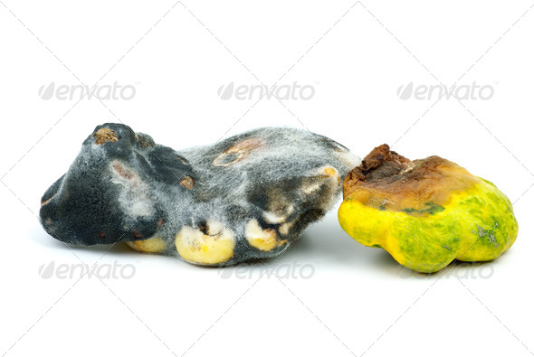 Rotten vegetables Stock Photo by digitalr | PhotoDune
