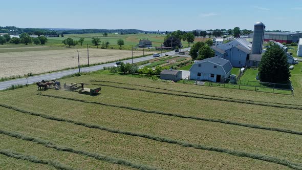Aerial View of an Amish Farmers with Five Horses Harvesting His Crops ...