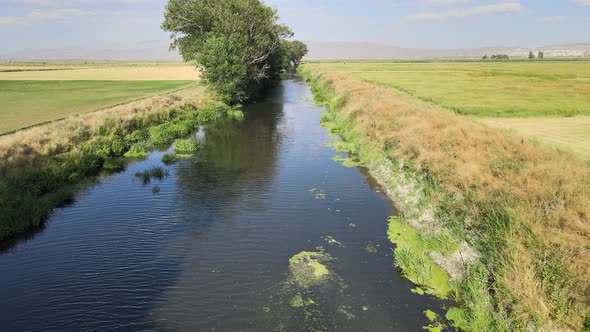 mossy river nature, Stock Footage | VideoHive