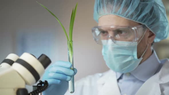 Scientist Looking at Germ, Made Scientific Breakthrough in Biology ...