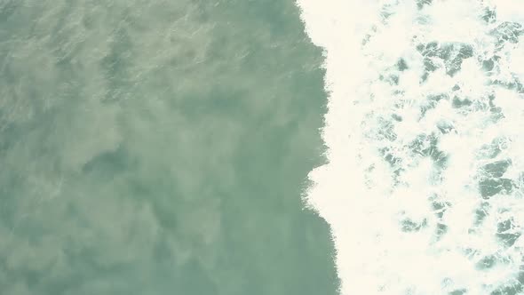 Wave Bird view, Stock Footage | VideoHive