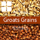 Groats Grains Surface Textures by artremizov | 3DOcean