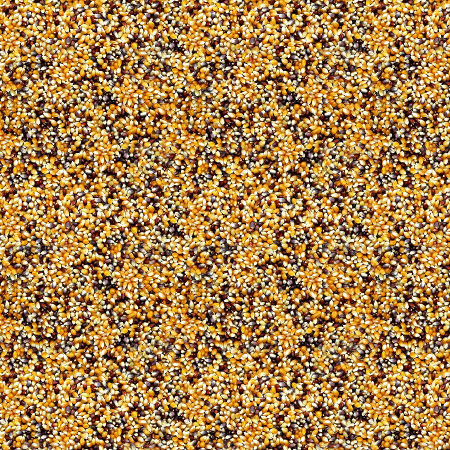 Groats Grains Surface Textures by artremizov | 3DOcean
