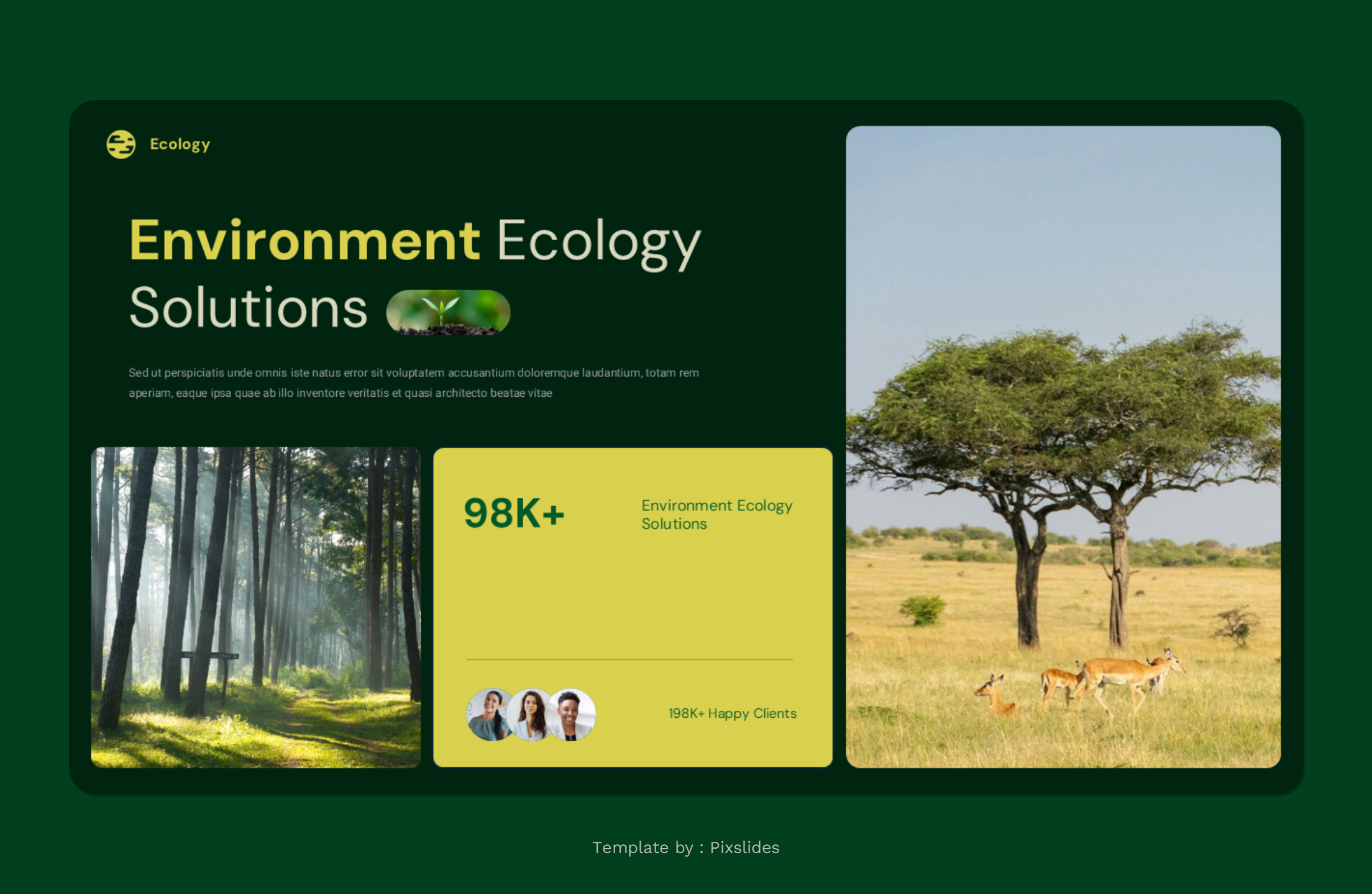 Ecology - Environment & Ecology PowerPoint Presentation Template ...