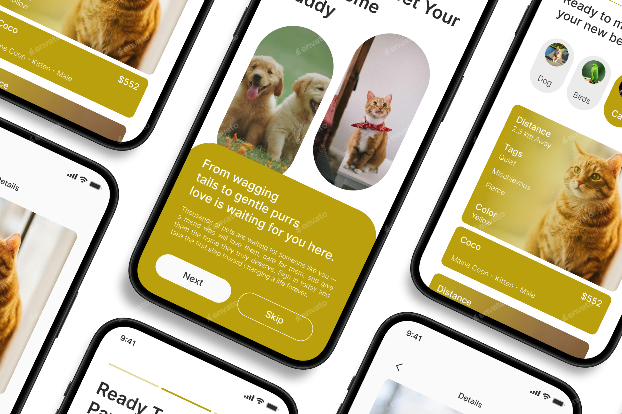 Pet Care - Mobile App UI Kit, Web Elements | GraphicRiver