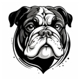 BULLDOG, Vectors | GraphicRiver