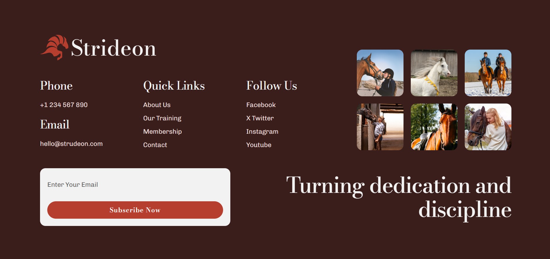 Strideon - Horse Riding & Training Elementor Template Kit by sparklethings