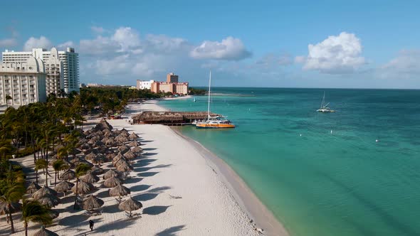 Palm Beach Aruba Amazing Tropical Beach with Palm Tree Entering the ...