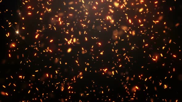 Confetti Particles, Motion Graphics | VideoHive