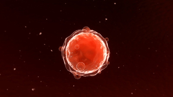 Oocyte 9, Motion Graphics | VideoHive