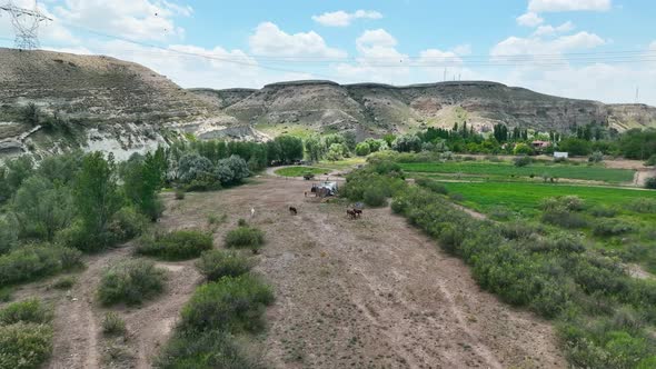 Horse ranch high in the mountains of Cappadocia Aerial view 4 K, Stock ...