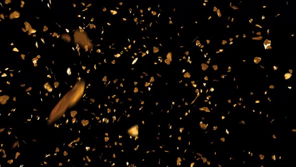 Gold Falling Confetti Explosion, Motion Graphics | VideoHive