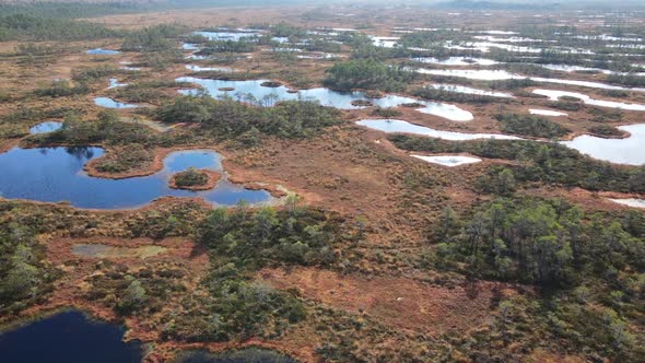 Drone aerial view to Estonian bog, Stock Footage | VideoHive