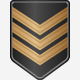 Rank Badges Insignias, Icons | GraphicRiver
