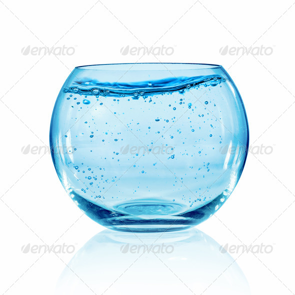 Fish bowl on white background Stock Photo by cookelma | PhotoDune