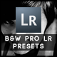 24 B&W Pro Presets, Add-ons | GraphicRiver
