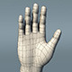 Human Male Hand Base Mesh by amardeep | 3DOcean