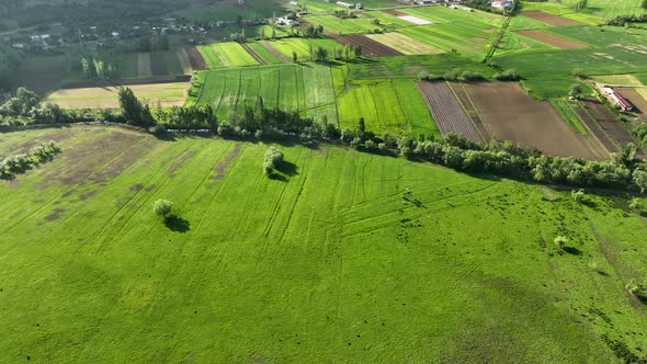 Farm Region Aerial View 4 K Alanya Turkey, Stock Footage | VideoHive