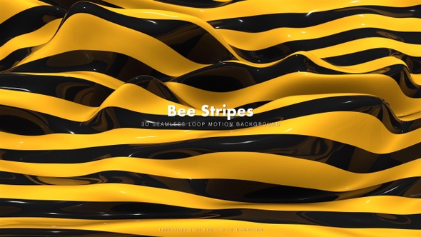 Bee Stripes 12, Motion Graphics | VideoHive