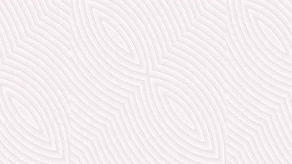 Abstract White Color Pattern Background, Motion Graphics | VideoHive