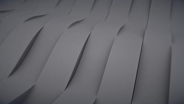 3d Abstract Wavy Gray Lines, Motion Graphics | VideoHive