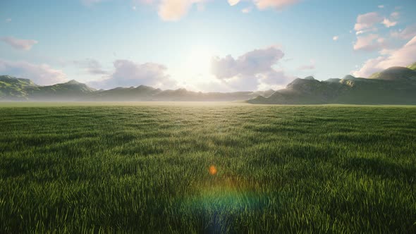 Beautiful Nature, Motion Graphics | VideoHive