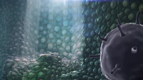 Cells are collecting bacteria- Cells collide, Motion Graphics | VideoHive
