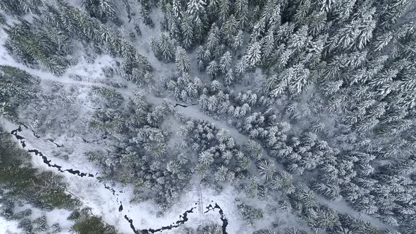 Aerial Top Down View Winter Concept. Landscape with Winter Trees ...