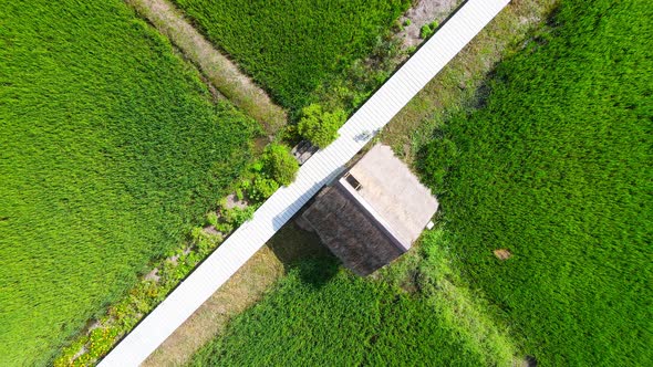 Aerial view green field meadow Top down view Shot on drone camera video ...