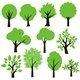 Trees Set, Vectors | GraphicRiver