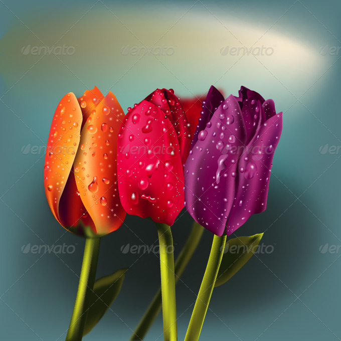 Tulips in Vector by pandafam | GraphicRiver