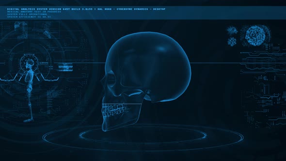 Medical Hud Scan 02, Motion Graphics | VideoHive