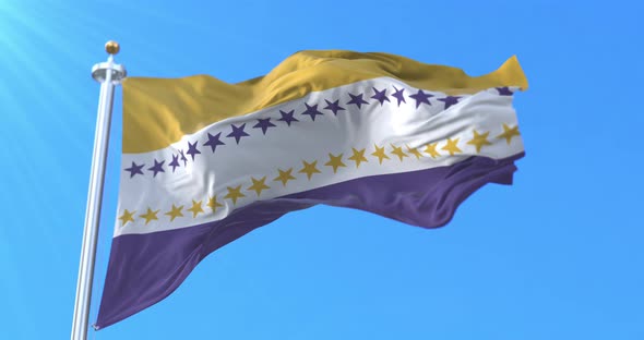 Women's Suffrage Flag, Motion Graphics | VideoHive