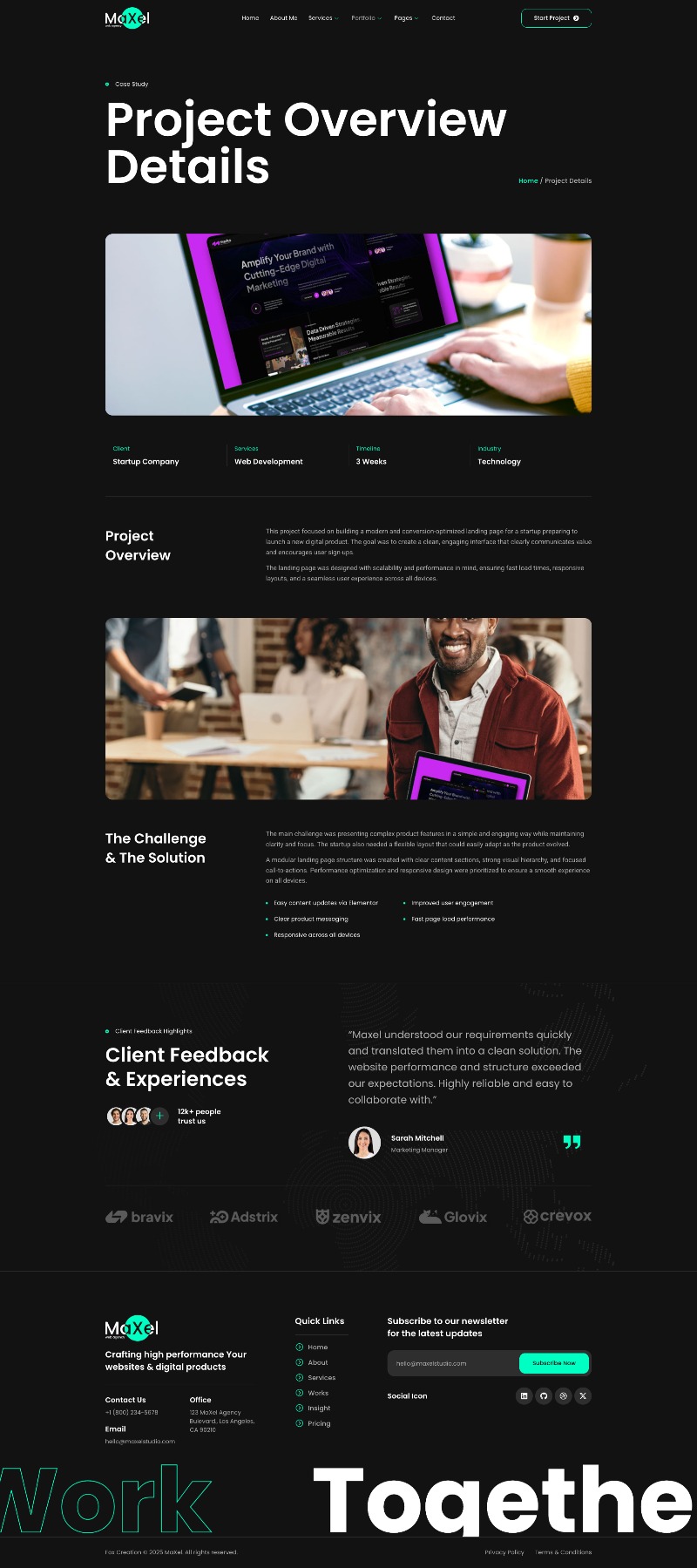 MaXel - Web Development & Portfolio Elementor Template Kit by Fox_Creation