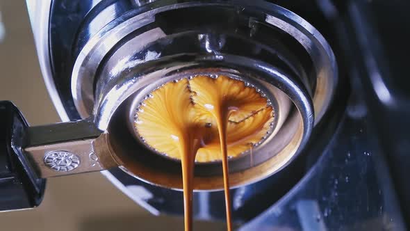 Coffee (2K), Stock Footage | VideoHive