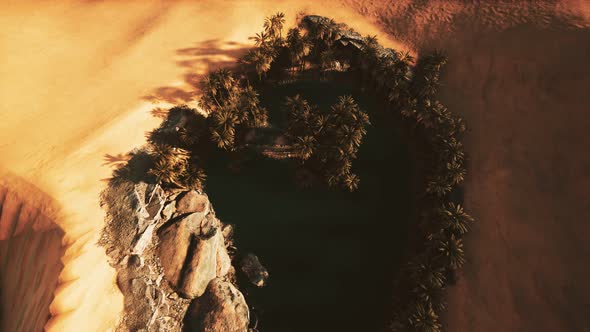 Top Down Aerial View of Oasis in Desert, Motion Graphics | VideoHive