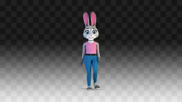 Bunny Walk, Motion Graphics | VideoHive