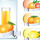 Labels with Citrus Fruits, Vectors | GraphicRiver