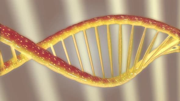 Orange Dna Seamless Loop, Motion Graphics | VideoHive