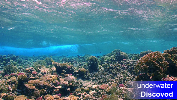 Waves of the Sea Over the Coral Reef 04, Stock Footage | VideoHive
