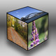 Photo Cube Creator, Add-ons | GraphicRiver