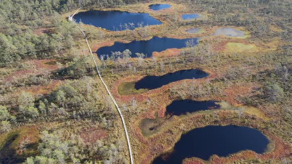 Drone aerial view to Estonian bog, Stock Footage | VideoHive